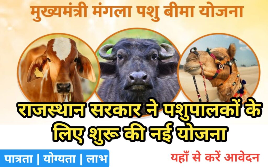 Mukhyamantri Mangla Pashu Bima Yojana | मुख्यमंत्री मंगला पशु बीमा ...